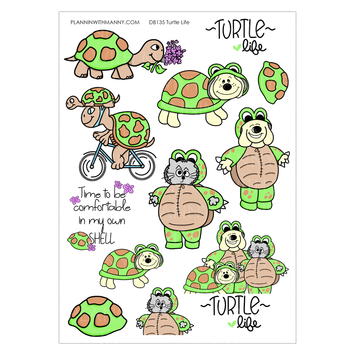 DB135 Large Turtle Stickers - Turtle Life Collection – Plannin with Manny